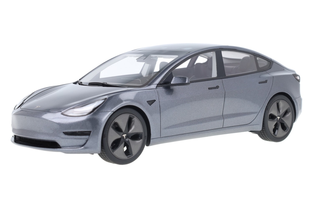Tesla 3 car store